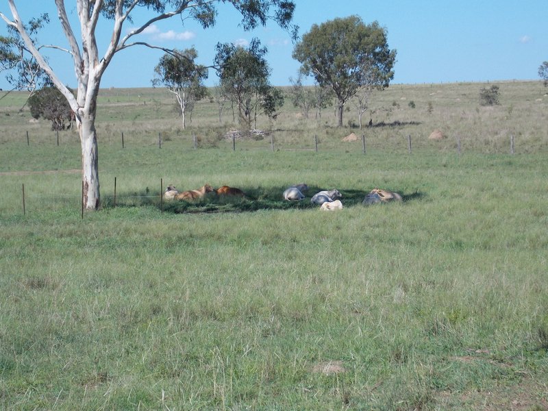 13 Ferling Rd Calvert QLD 4340 | Real Estate Industry Partners