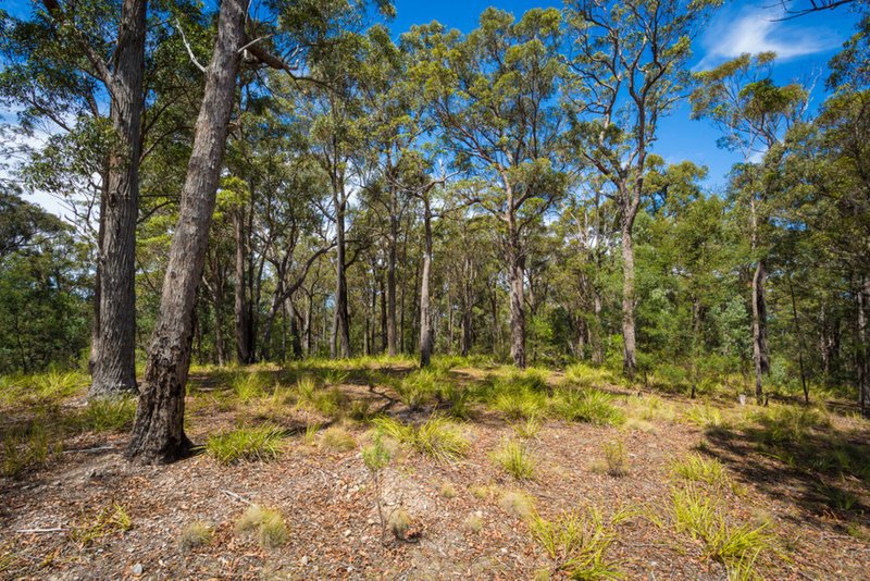 2250 Princes Highway, Yellow Pinch NSW 2548 | Real Estate Industry Partners