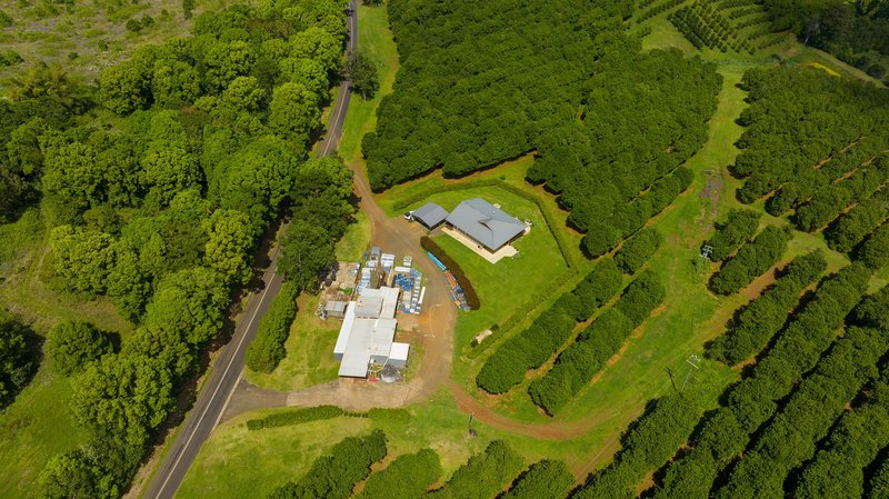 397 Duncan Road, Dunoon NSW 2480 | Real Estate Industry Partners