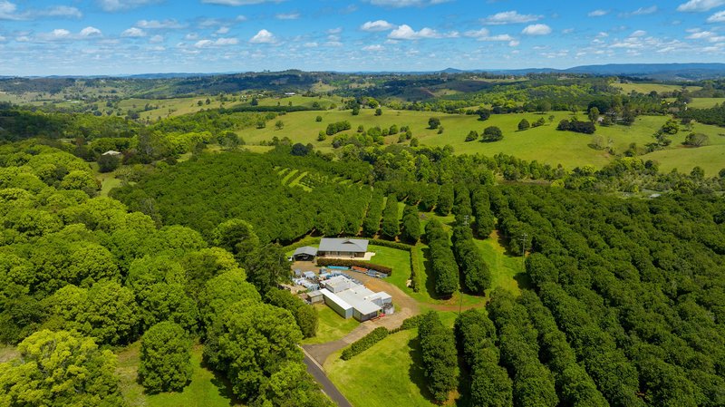 397 Duncan Road, Dunoon NSW 2480 | Real Estate Industry Partners