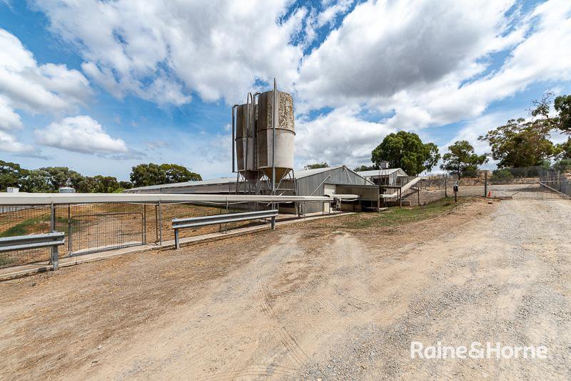 67 Brookmans Road, Blewitt Springs SA 5171 | Real Estate Industry Partners