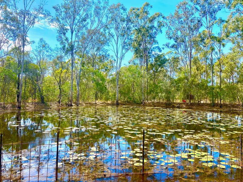 825 Round Hill Road, Captain Creek QLD 4677 | Real Estate Industry Partners