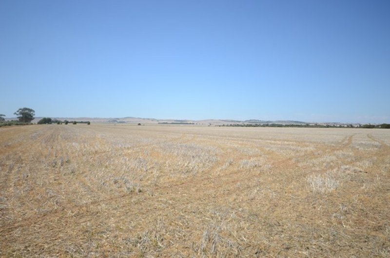 "Halbury" Hoyleton Road, Halbury SA 5461 | Real Estate Industry Partners