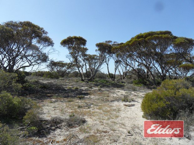 Section 417 Ketch Road, Parham SA 5501 | Real Estate Industry Partners