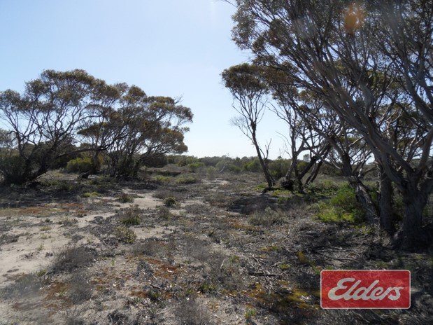 Section 417 Ketch Road, Parham SA 5501 | Real Estate Industry Partners