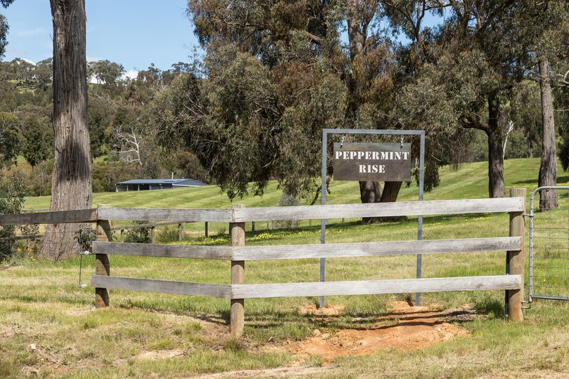 Taggerty VIC 3714 | Real Estate Industry Partners